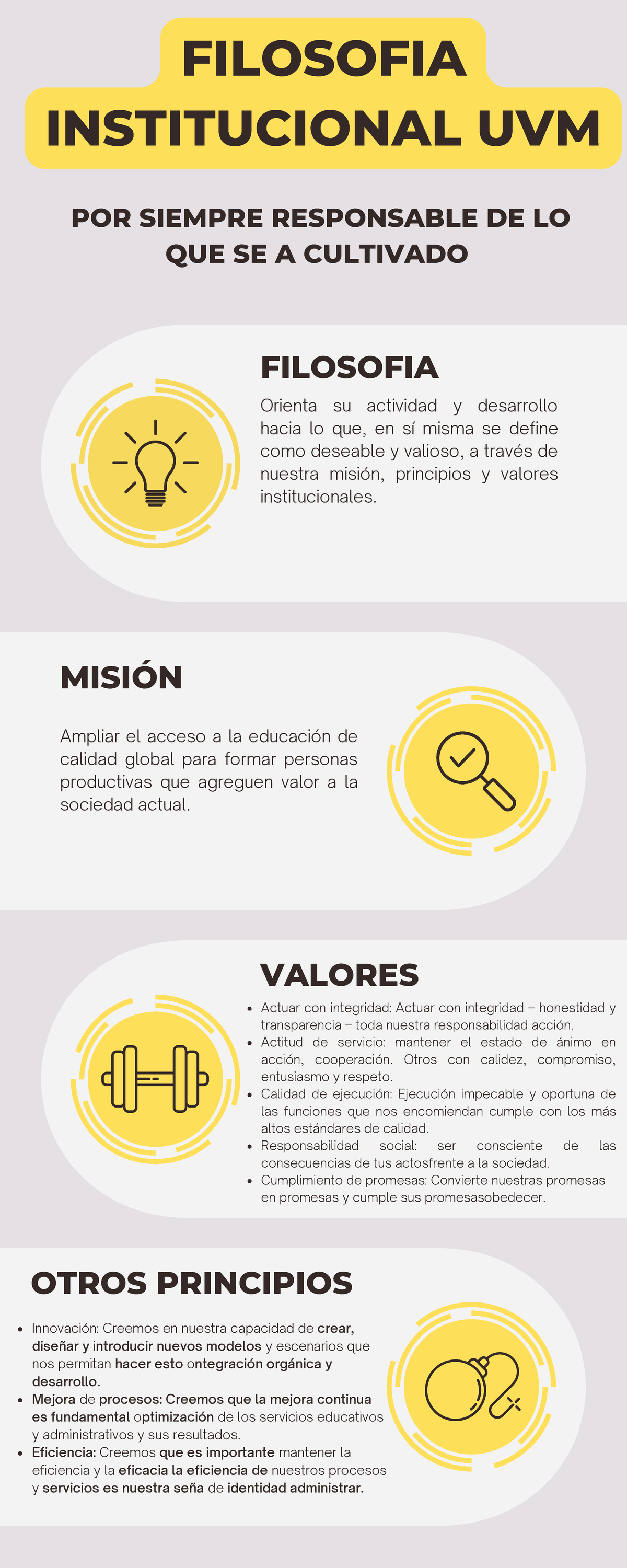infografia - filosofia UVM - FILOSOFIA VALORES MISIÓN OTROS PRINCIPIOS ...