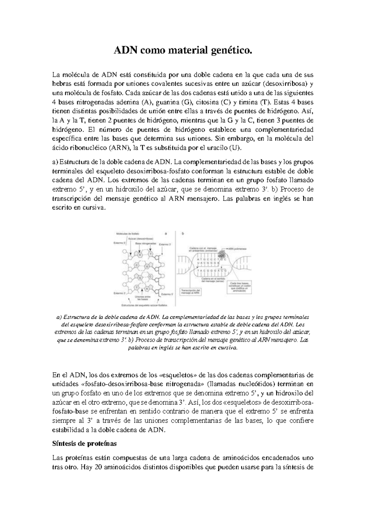 ADN como material genético - La molécula de ADN está constituida por ...