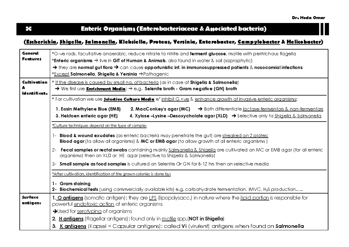 Gram-Ve Lecture 3. Enterobacteriaceae. - Enteric Organisms ...