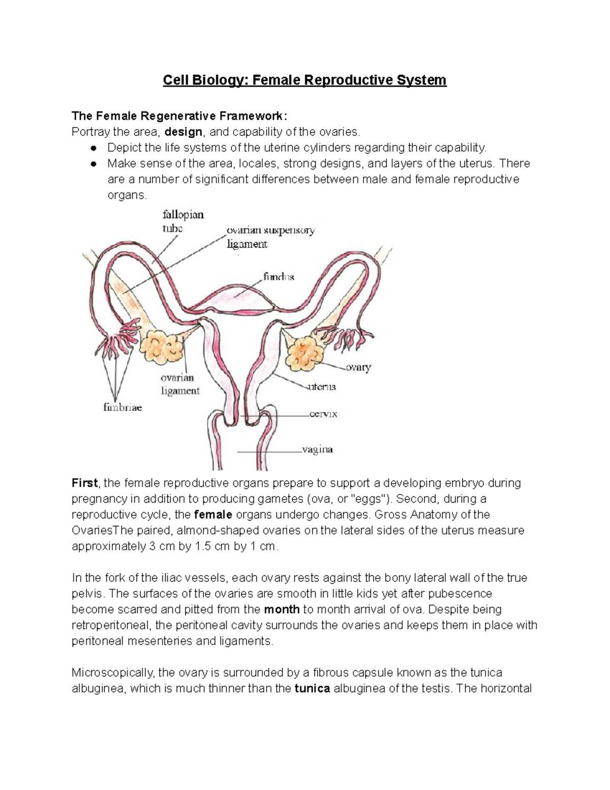 Cell Biology Female Reproductive System - Depict the life systems of ...
