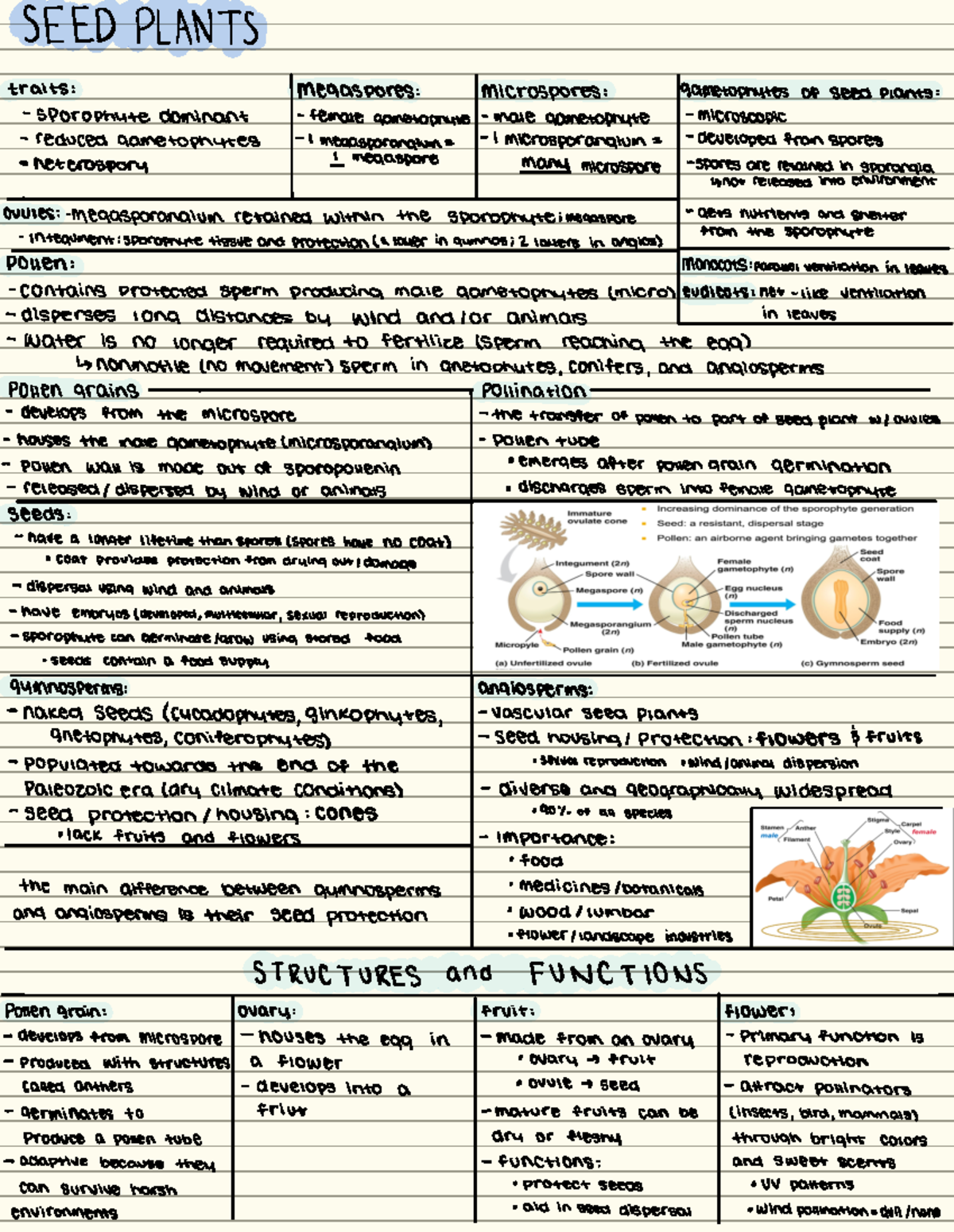 Seed plants - LIFE 121 - Studocu