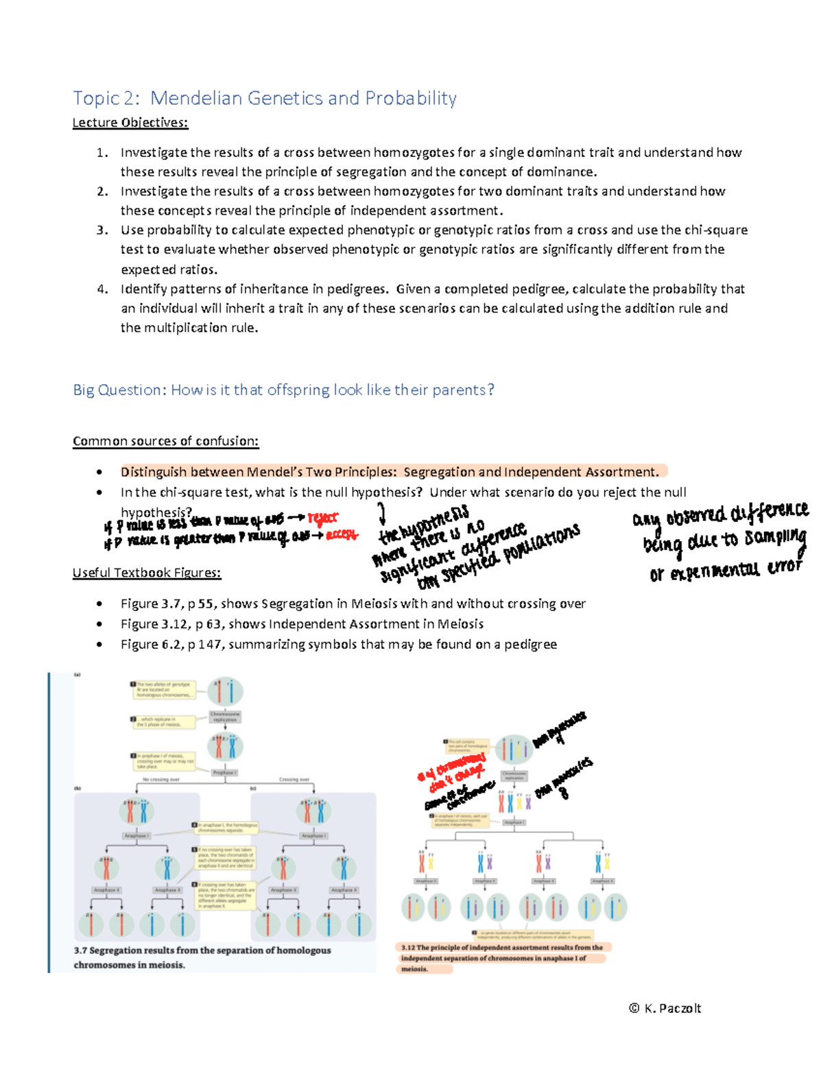 BSCI222 Topic 2 Study Outline - © K. Paczolt Topic 2: Mendelian ...