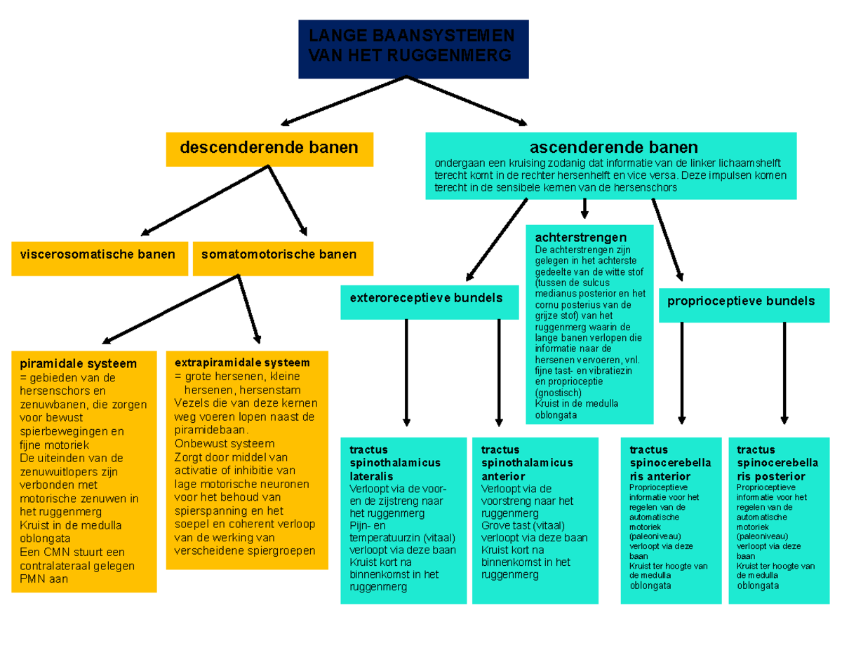 Lange baansystemen ruggenmerg - LANGE BAANSYSTEMEN VAN HET RUGGENMERG ...
