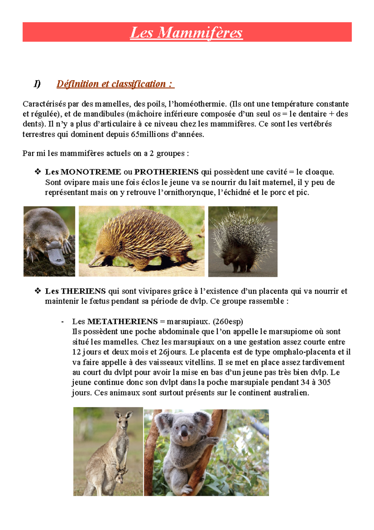 Cours sur les Mammifères - Les I) et classification : par des mamelles ...