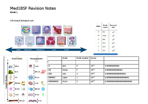 Anatomy Prac 2 Upper and Lower limbs worksheet - Anatomy Access ...