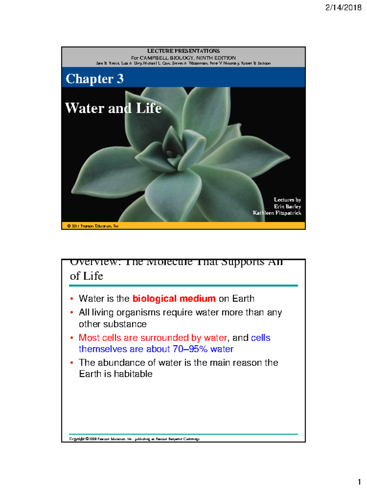 نسخة من Ch.3 Water - lecture notes for biology book - LECTURE ...
