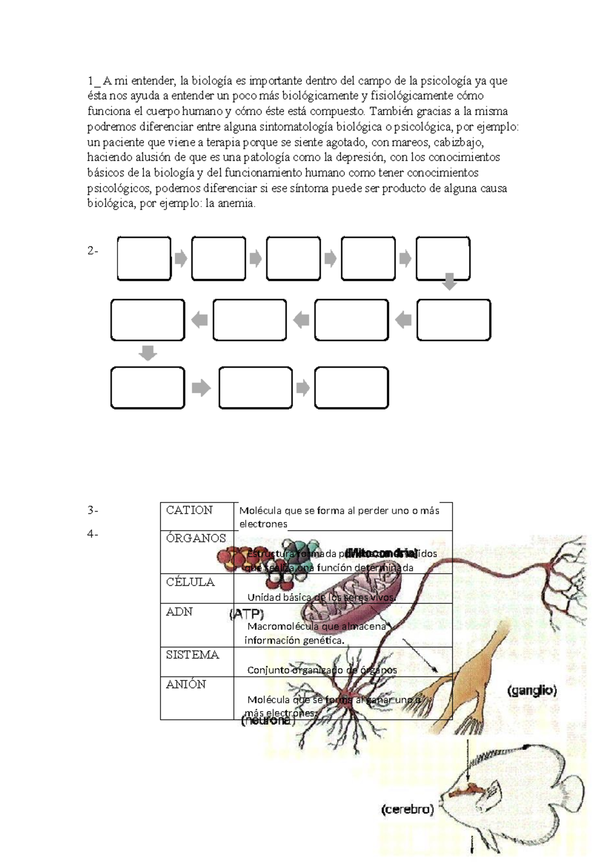 Trabajo práctico nro 1 - 1_ A mi entender, la biología es importante ...