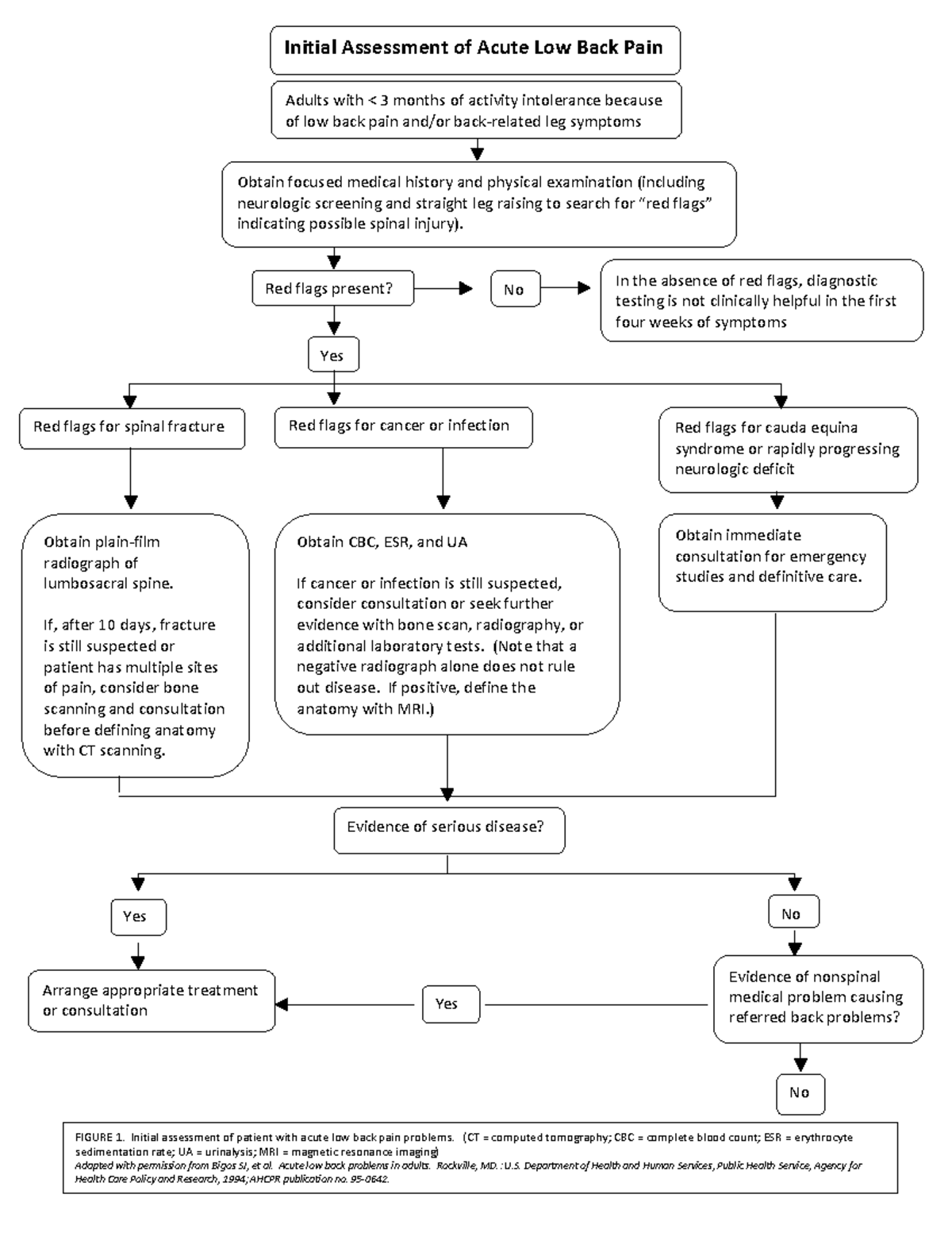 Initial Assessment of Acute Low Back Pain - - Studocu