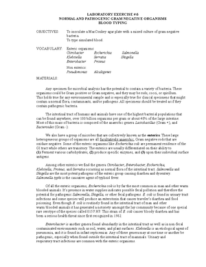 Lab #1 - Microscope and Kingdoms Updated Spring 2021 - LABORATORY ...