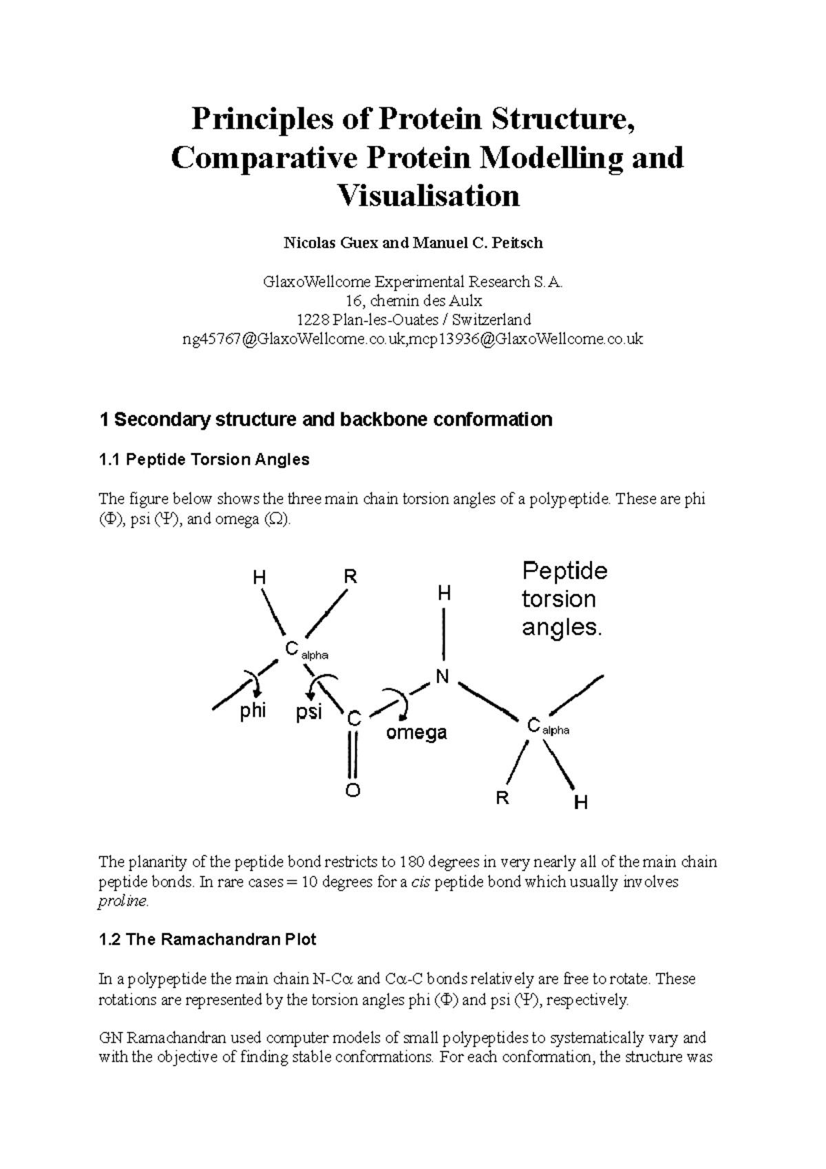 Scribd - Stem - Principles of Protein Structure, Comparative Protein ...