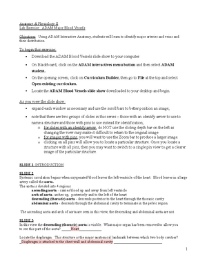 ADAM Heart worksheet - Anatomy & Physiology II Lab – ADAM/EVE Heart ...