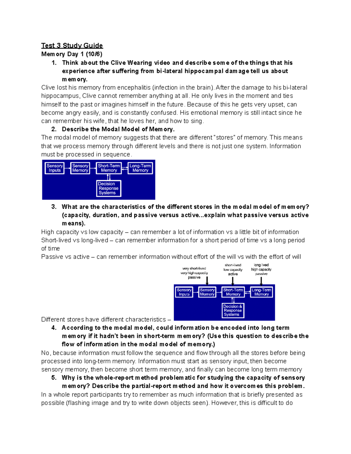 Test 3 Study Guide - Test 3 Study Guide Memory Day 1 (10/6) 1. Think ...