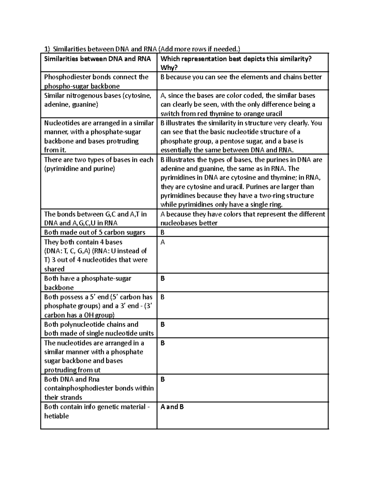 BIOL 1961 DNA vs RNA Guided Inquiry - Similarities between DNA and RNA ...