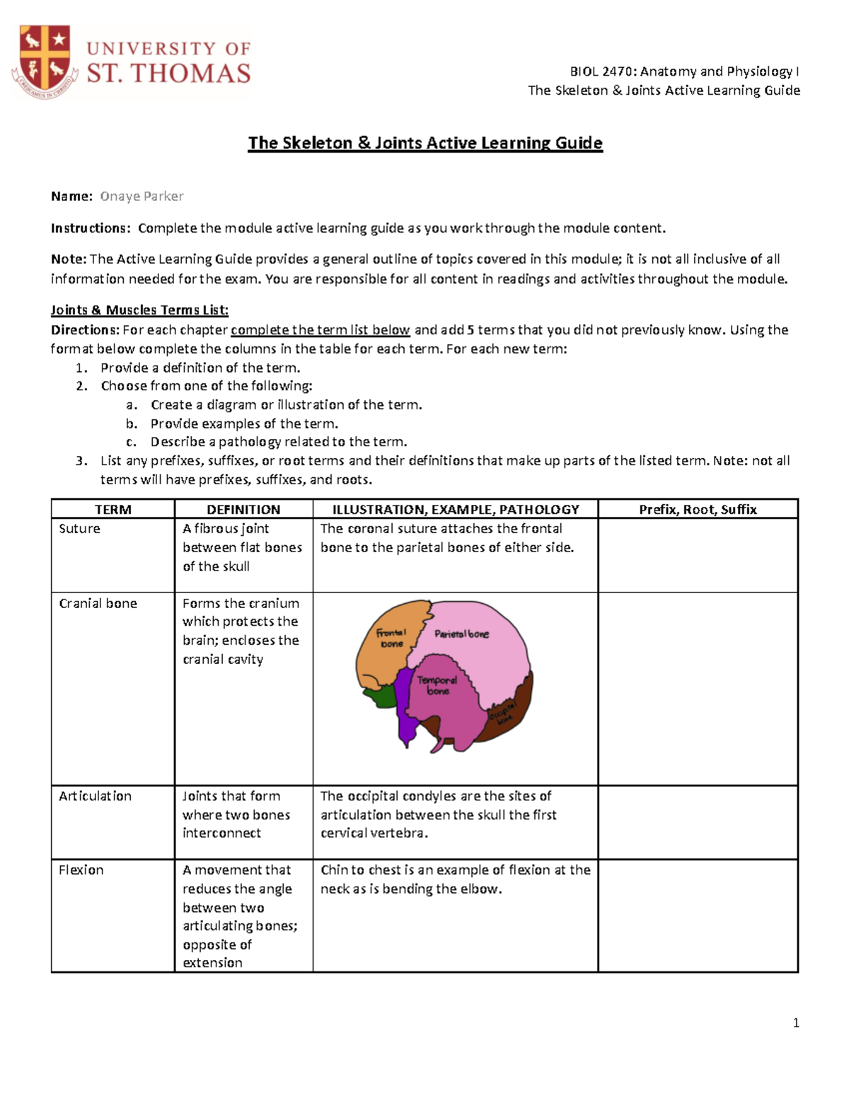 The Skeleton & Joints Active Learning Guide Drawings PDF - The Skeleton ...