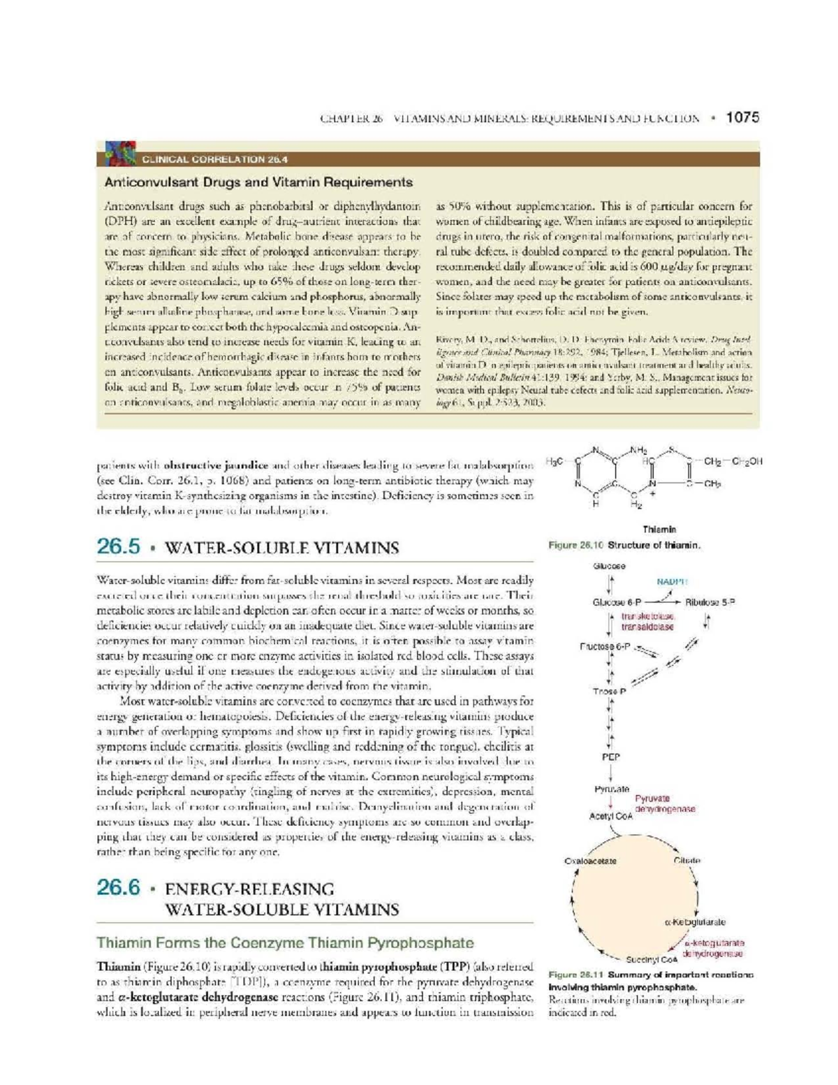 WS vitamins - chemisty - Chemistry - Studocu