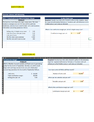 Module 1 problem set Excel - Function: SUM; Multiply; Divide; Cell Referencing BE2 - Using Excel ...