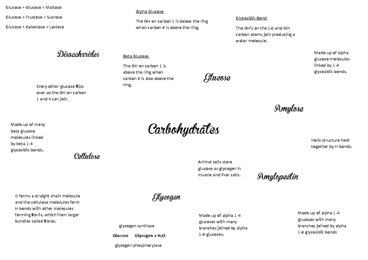 Carbohydrates mindmap - Every other glucose flips over so the OH on ...