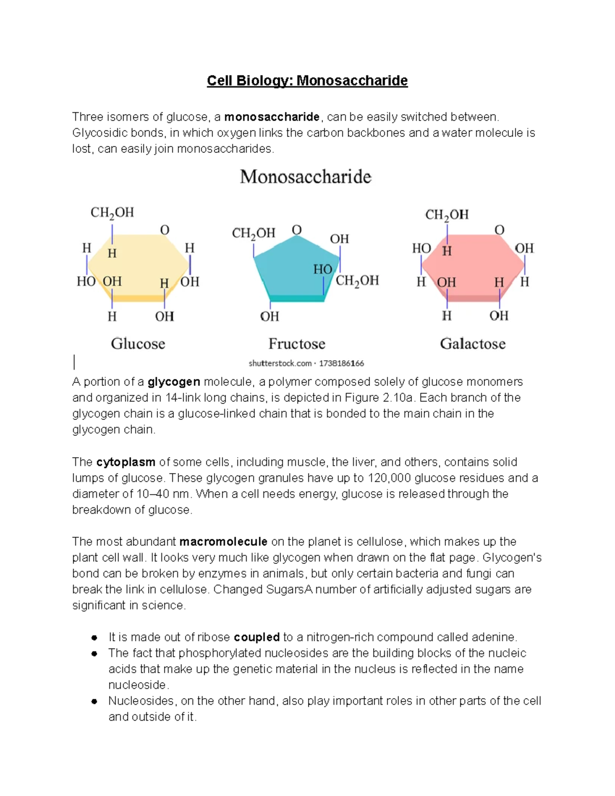 Cell Biology Monosaccharide - Cell Biology: Monosaccharide Three ...