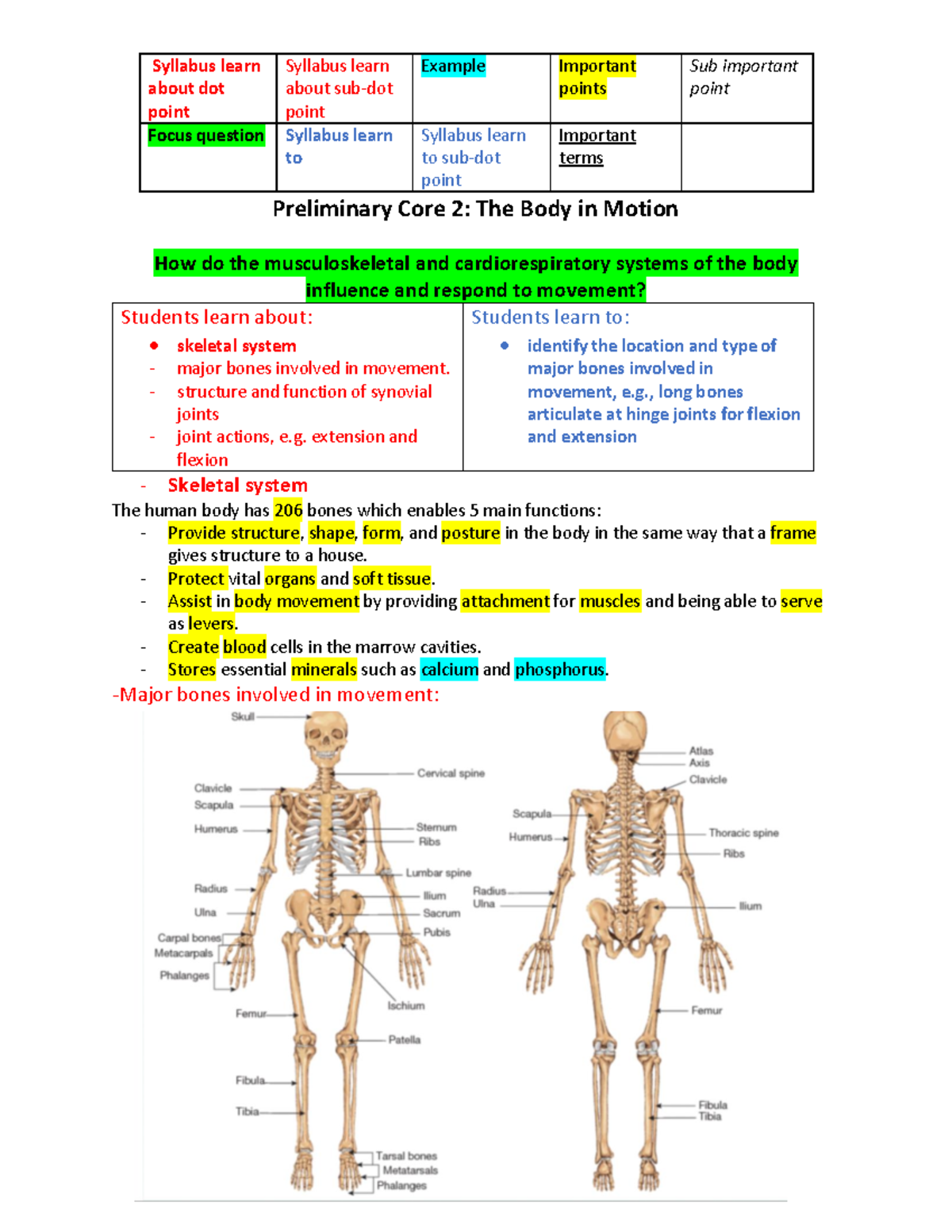 Pdhpe FULL Prelim Notes - Preliminary Core 2: The Body in Motion How do ...