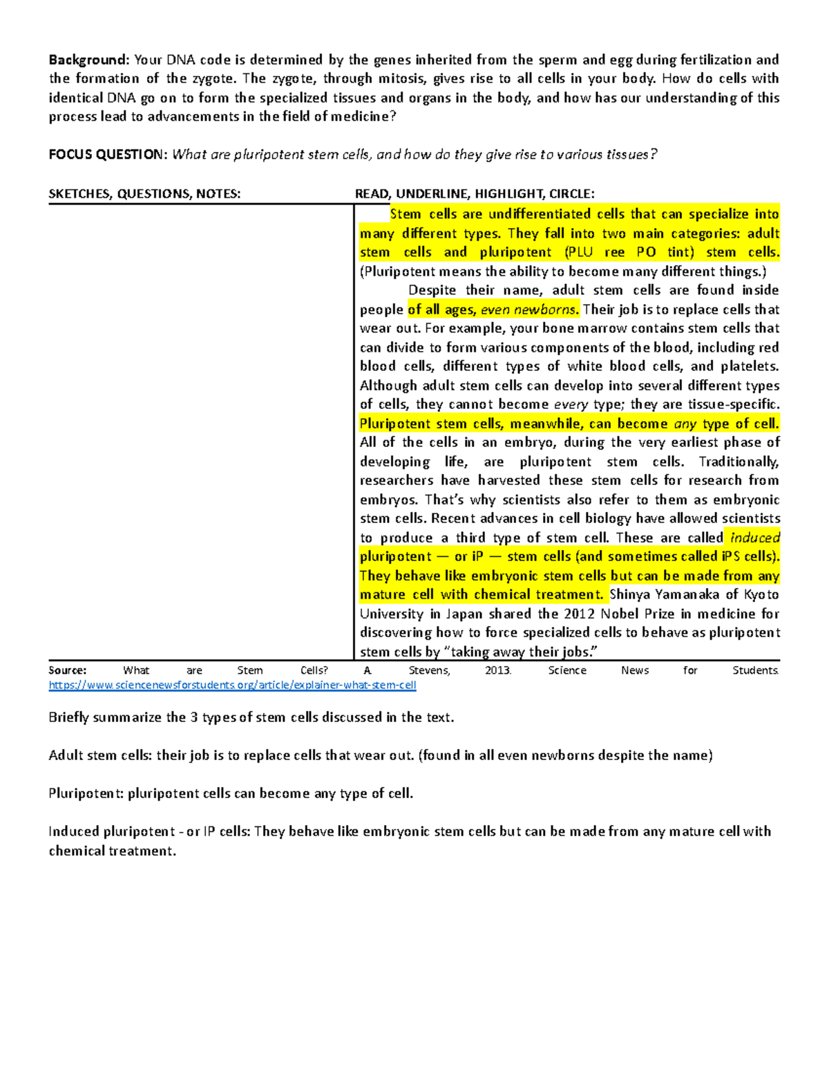 Mariah Cifuentes - Stem cell inquiry activity - Background: Your DNA ...