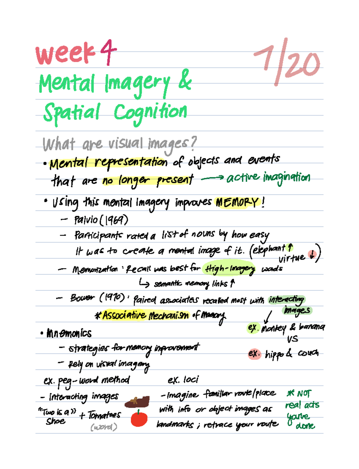 Cognition -part-5 - week Mental Imagery 1 L0 Spatial_Cognition What_are ...
