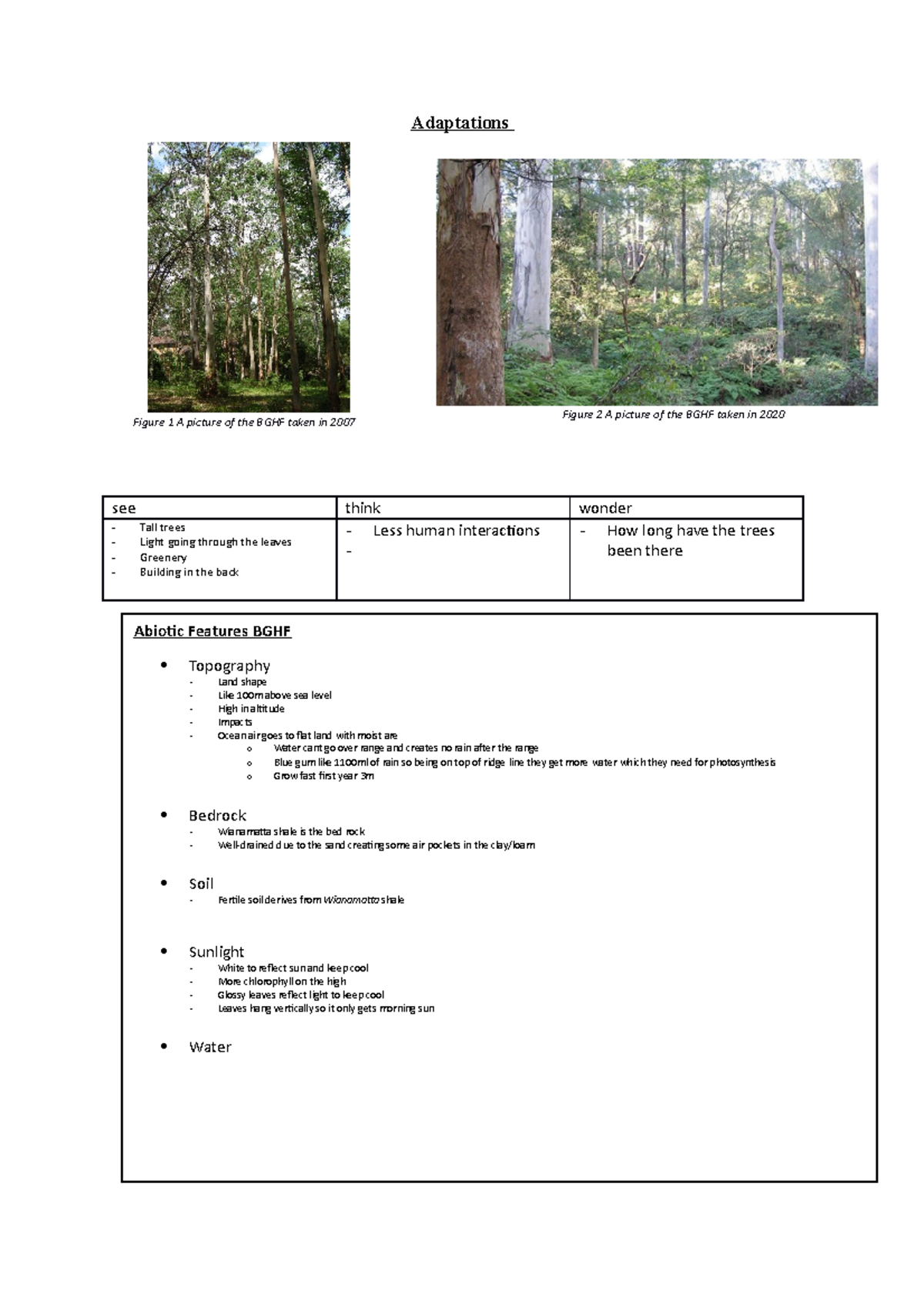 Adaptations - good - Adaptations see think wonder - Tall trees - Light ...
