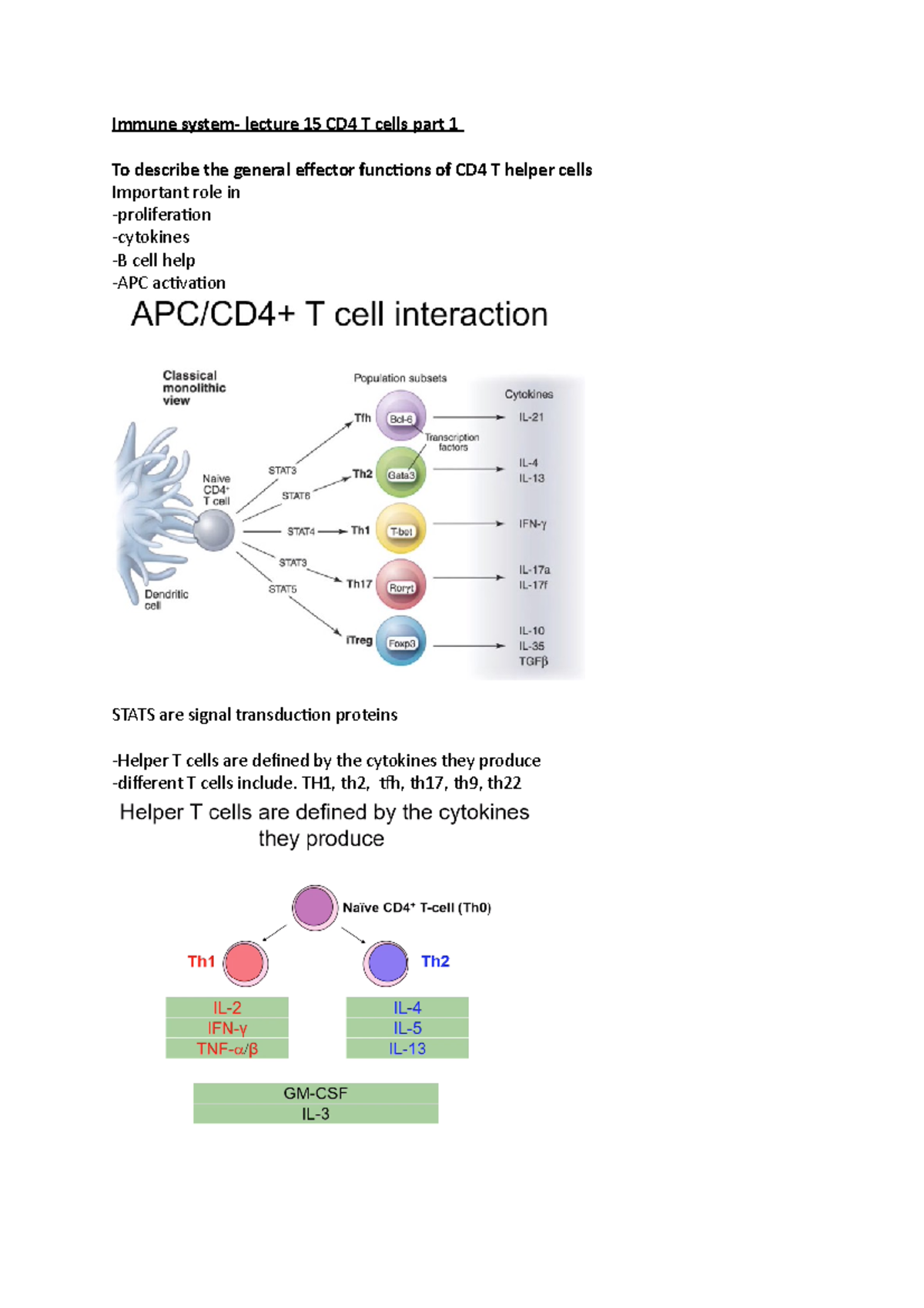 Immune system - notes - Immune system- lecture 15 CD4 T cells part 1 To ...