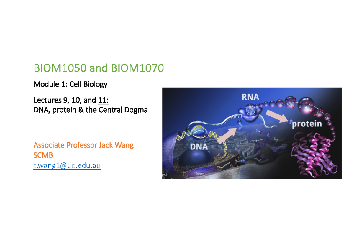 Lecture 11 - BIOM1050 and BIOM Module 1: Cell Biology Lectures 9, 10 ...