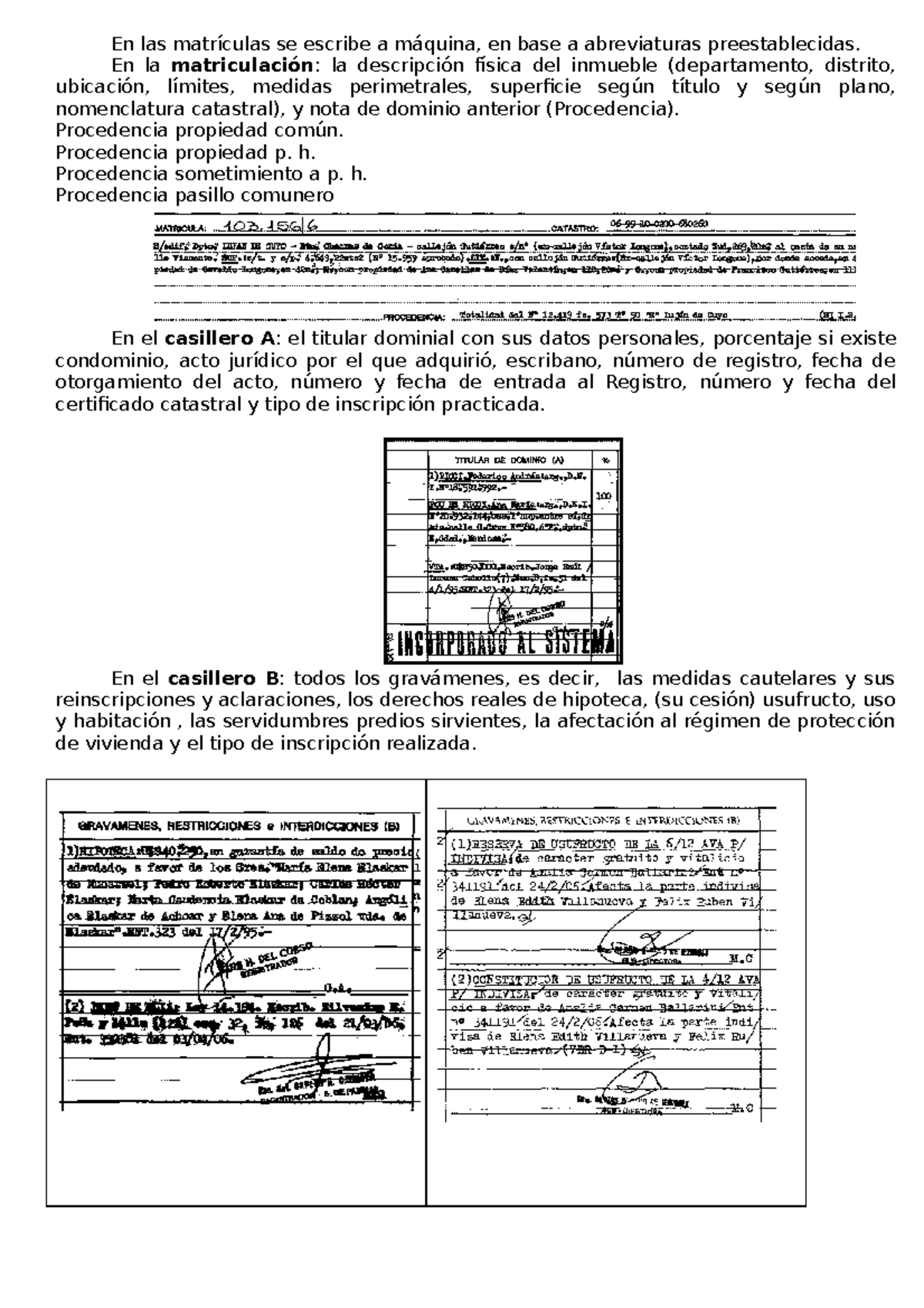 Partes DE UNA MatríCULA - En las matrículas se escribe a máquina, en ...