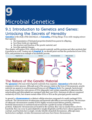 Evaluation of Antiseptics and Disinfectants Lab Report - Abstract The ...