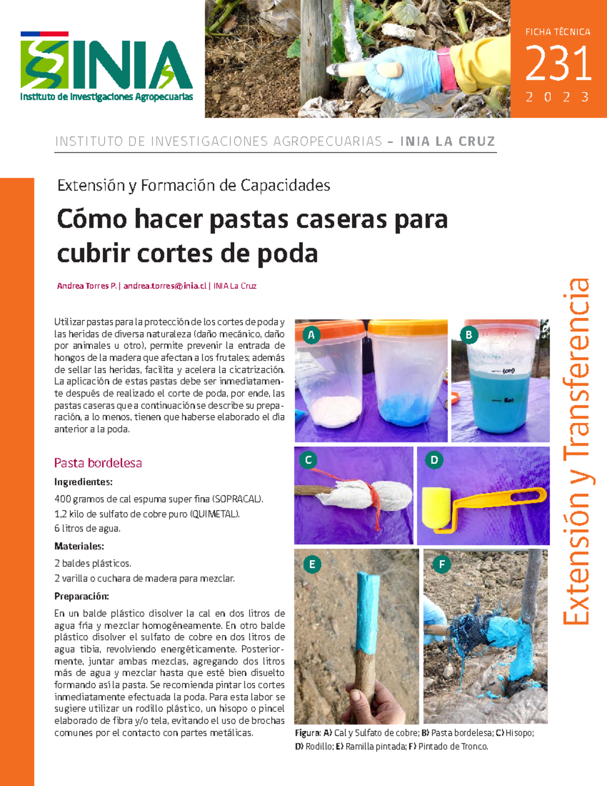 NR43201 - Cómo hacer pastas caseras para cubrir cortes de poda 231 2 0 ...