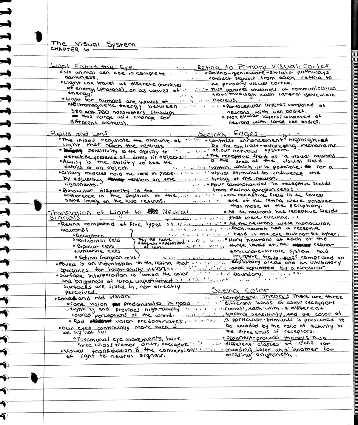 Textbook Chapter 6 The Visual System - PSYC 012 - Studocu