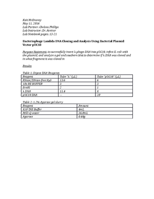 PCR worksheet - mark - Lesson 1 DNA Template Preparation Focus ...