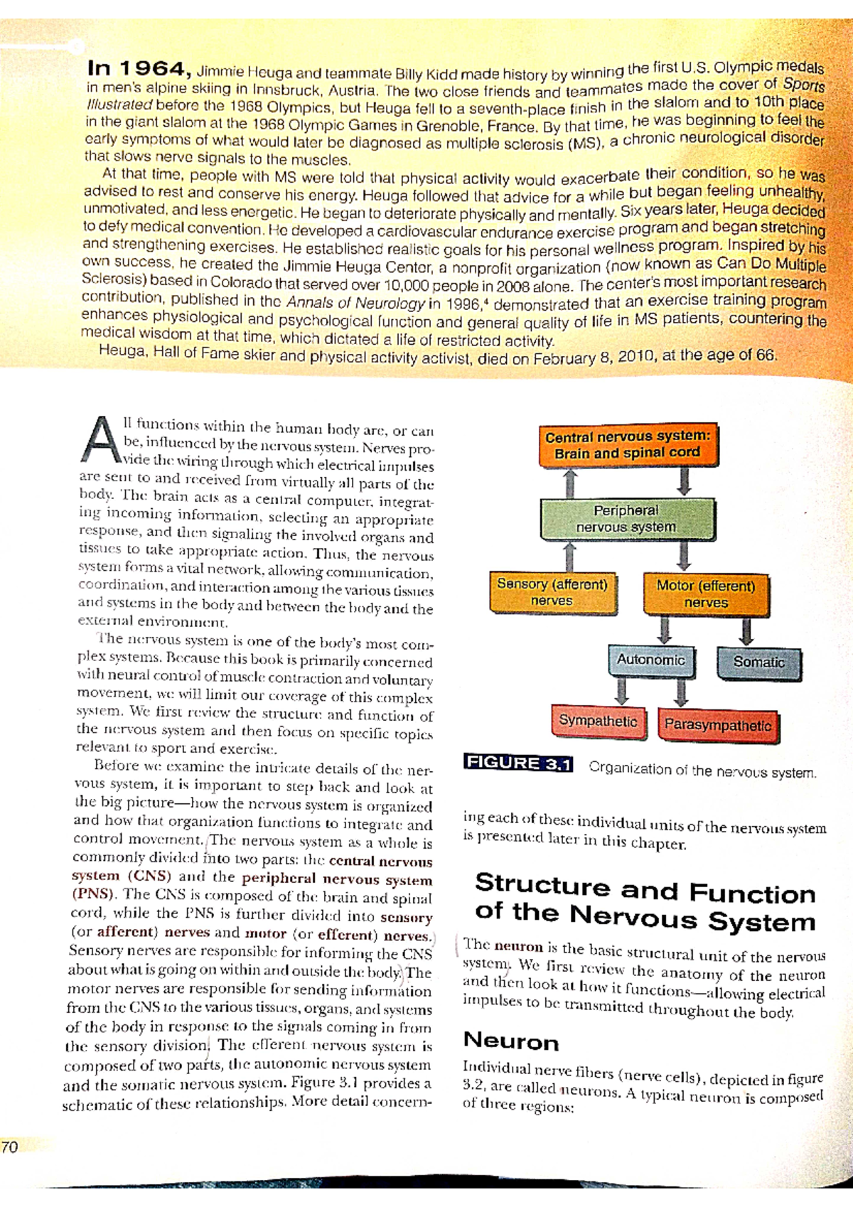 Structure and function of nervous system - Humman Antomy And physiology ...