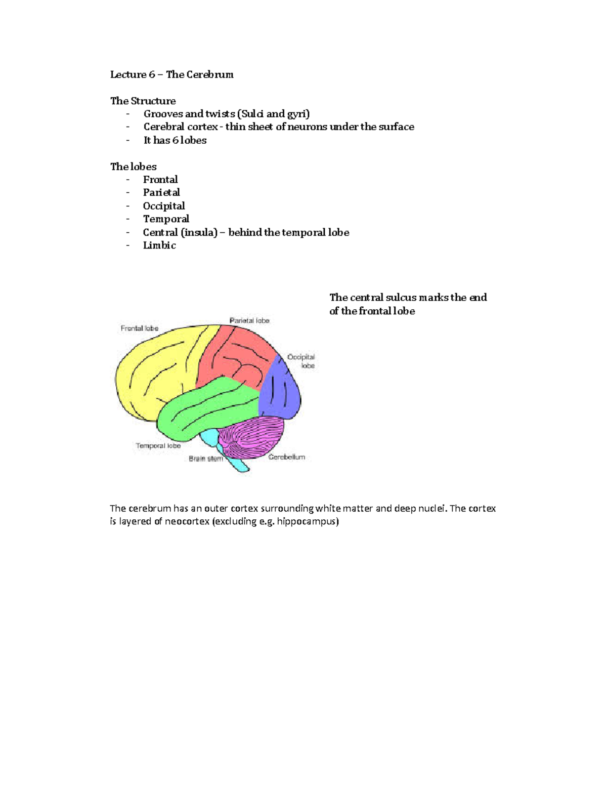 Revision Notes: Book "Neuroscience Exploring The Brain" - Lecture 6-8 ...