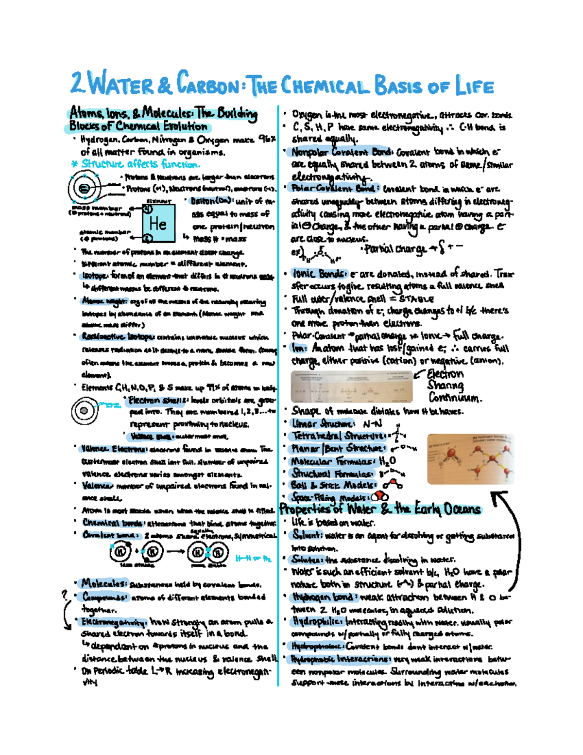 Chapter 2 Water and Carbon The Chemical Basis of Life - 2 WATER CARBON ...