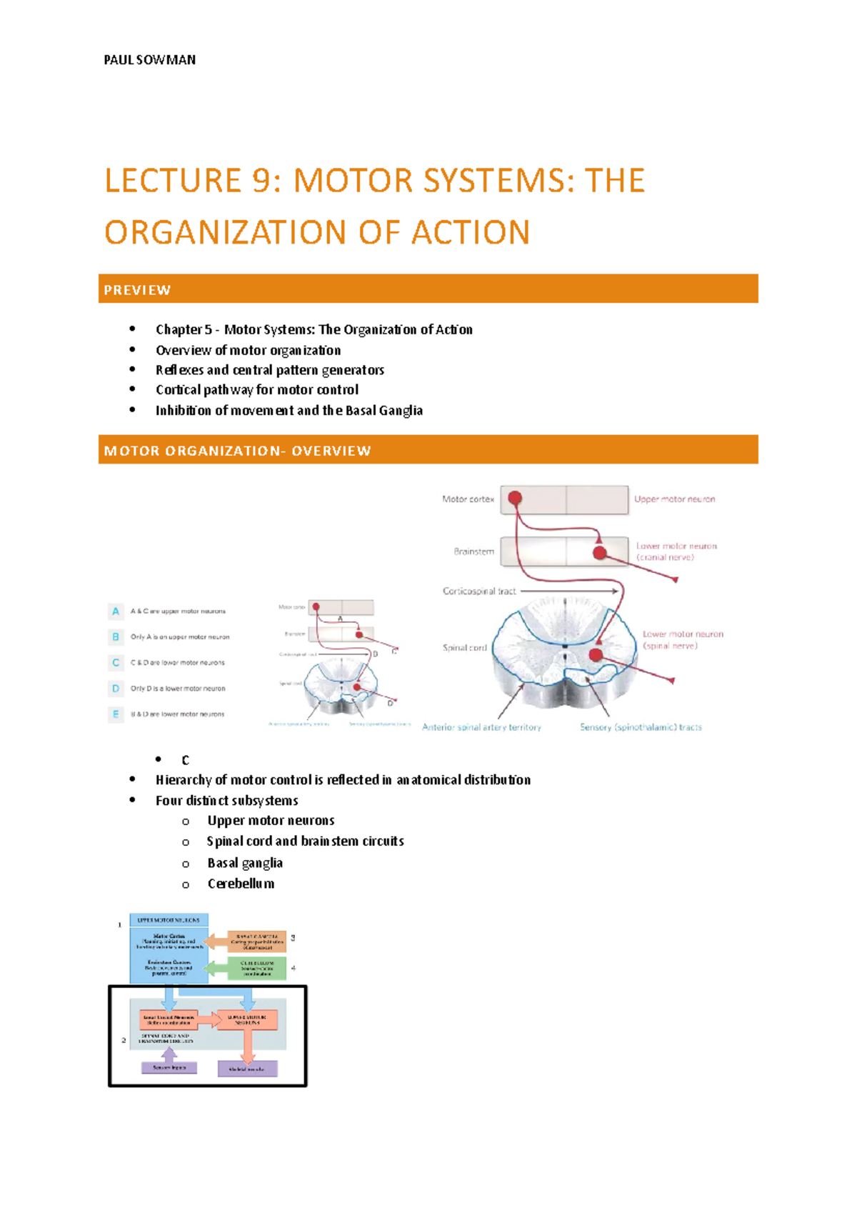 Lecture 9 - LECTURE 9: MOTOR SYSTEMS: THE ORGANIZATION OF ACTION ...