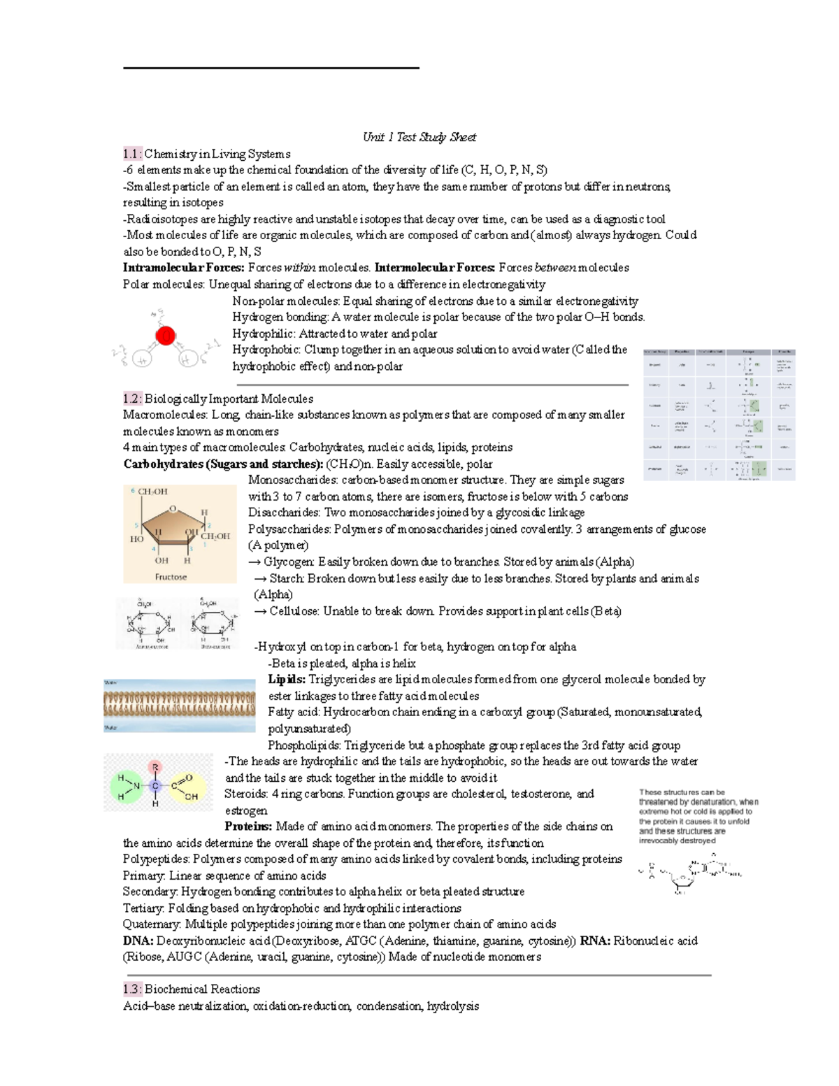SBI4U RST Study Sheets Fall 2021.doc - Unit 1 Test Study Sheet 1 ...