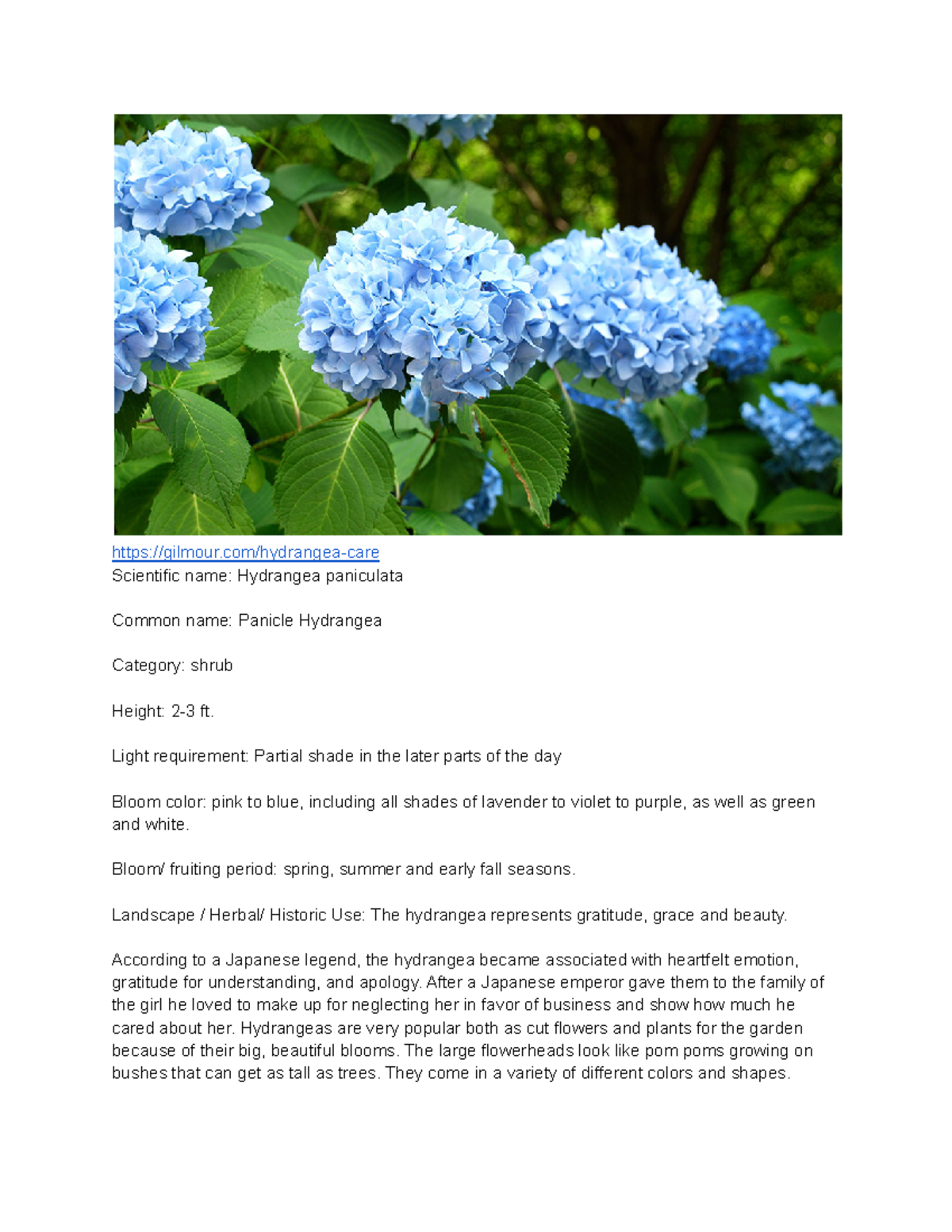Hydrangea paniculata - gilmour/hydrangea-care Scientific name ...