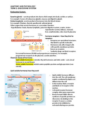 Anatomical terminology - Anatomical The system functions in providing ...