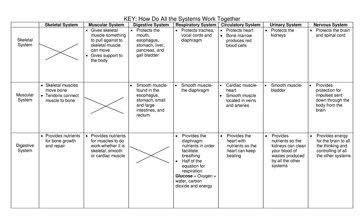 Organ systems working together - KEY: How Do All the Systems Work ...