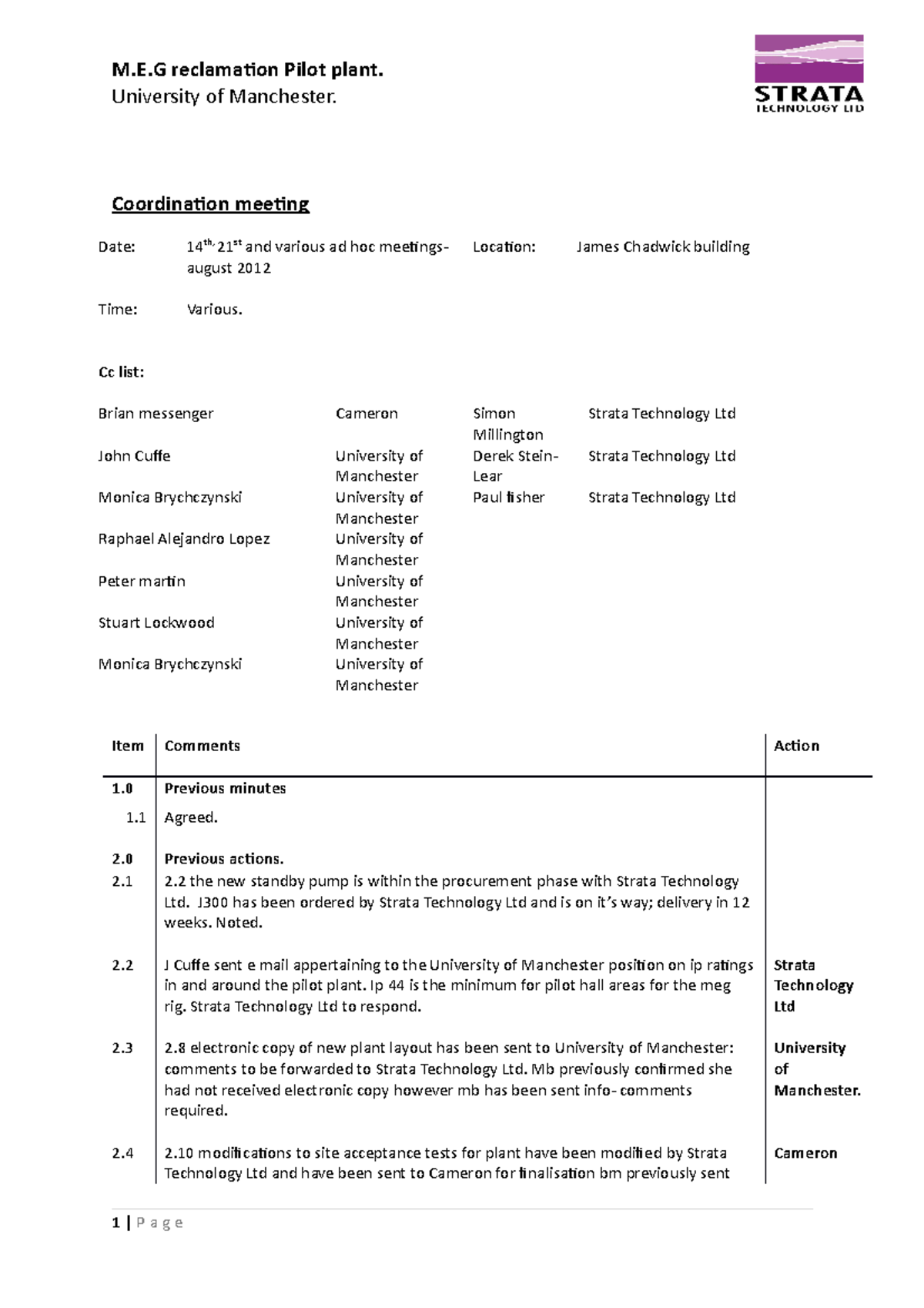 Strata - Example Minutes - University of Manchester. Coordination ...
