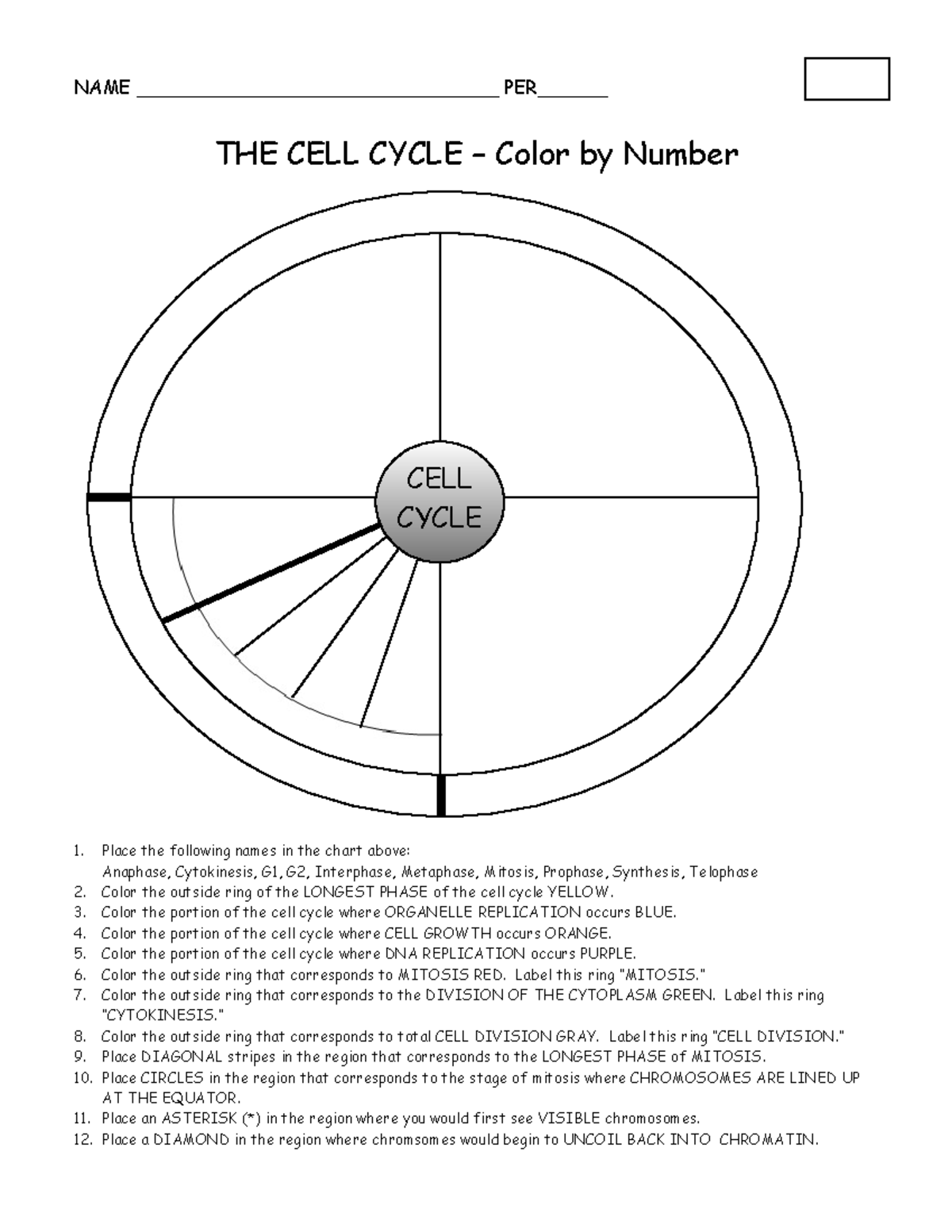 Cell Cycle Color by Number - NAME _______________________________ PER ...