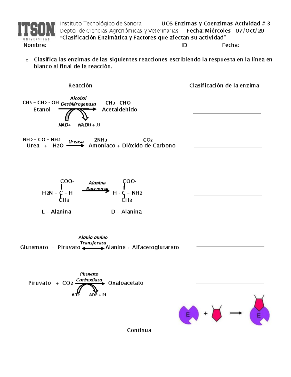 Act 2 Clasificación Enzimática - Instituto TecnolÛgico de Sonora UC6 Enzimas y Coenzimas ...