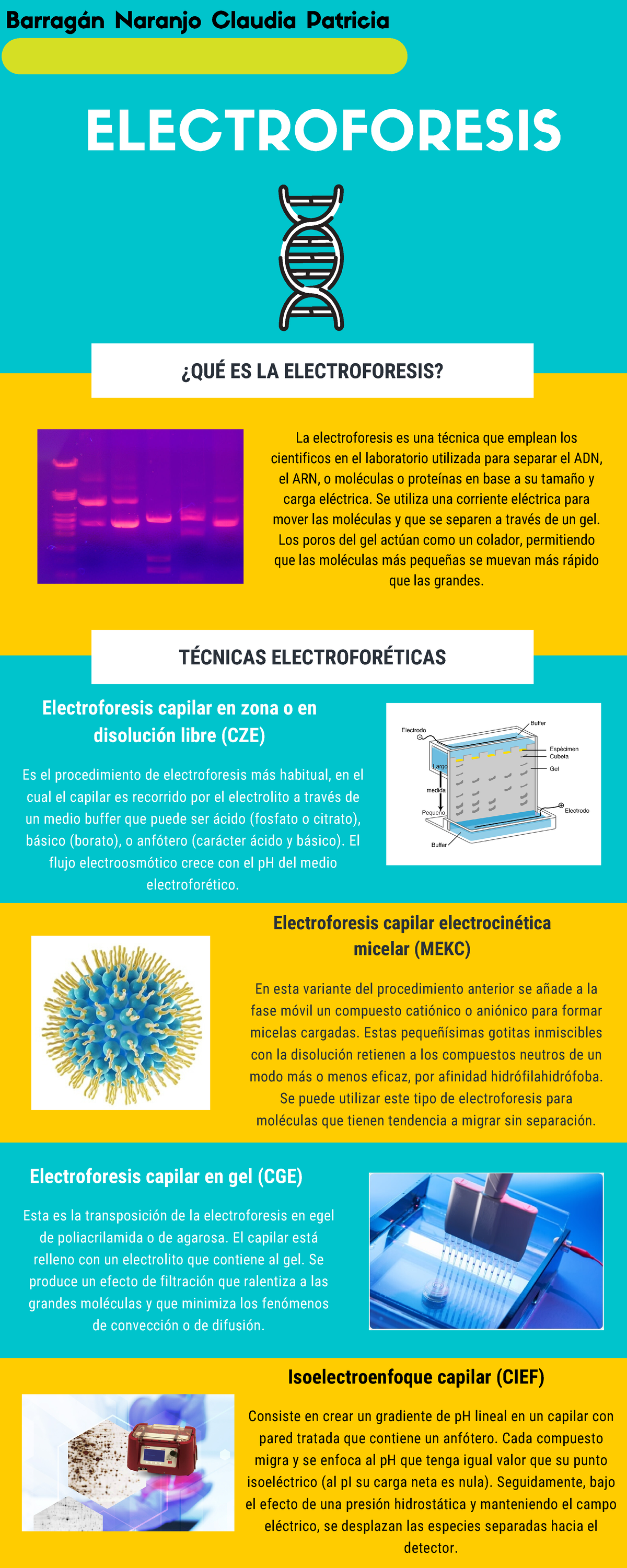 Electroforesis - Nota: 100 - ¿QUÉ ES LA ELECTROFORESIS? TÉCNICAS ...