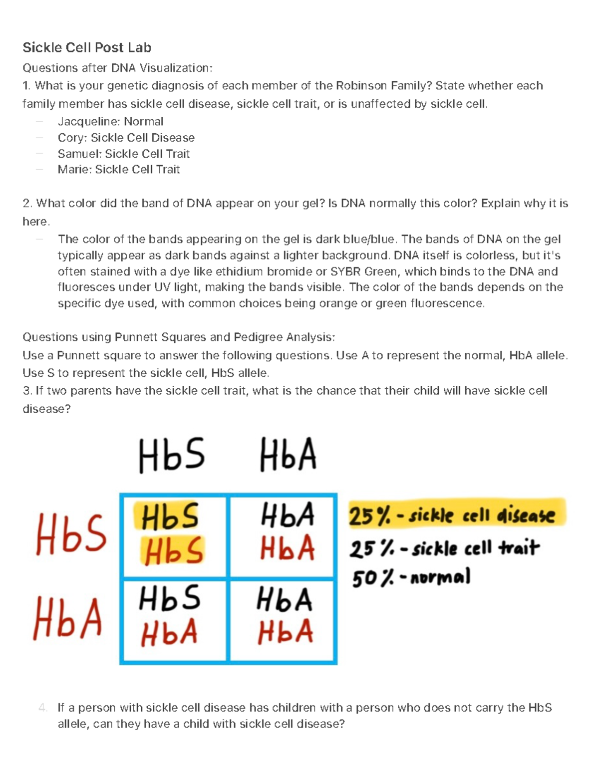 Sickle-Cell-Post-Lab - – – – – – 4. Sickle Cell Post Lab Questions after DNA Visualization: What ...