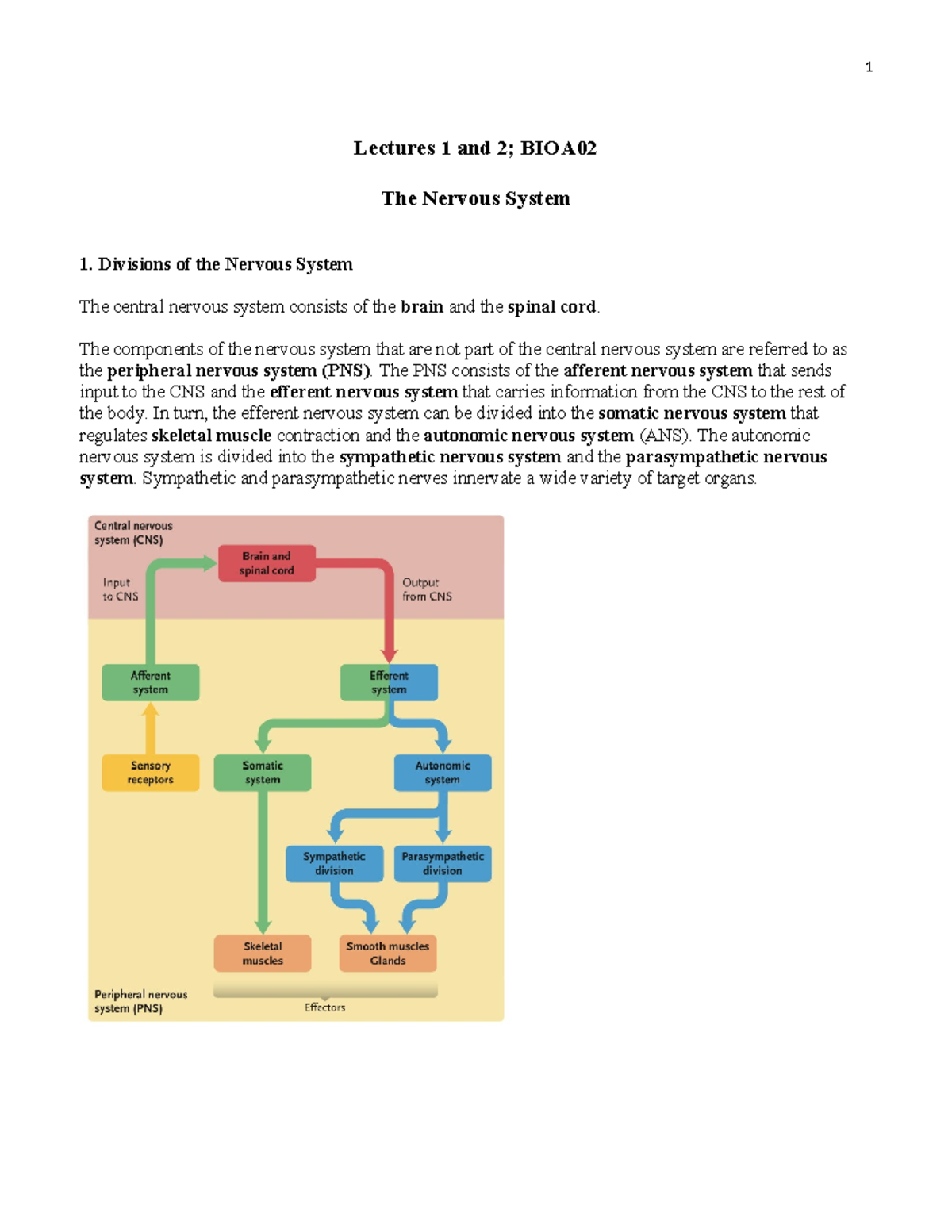 BIOA02 Lecture 1 and 2 Notes Nervous System - Lectures 1 and 2; BIOA ...