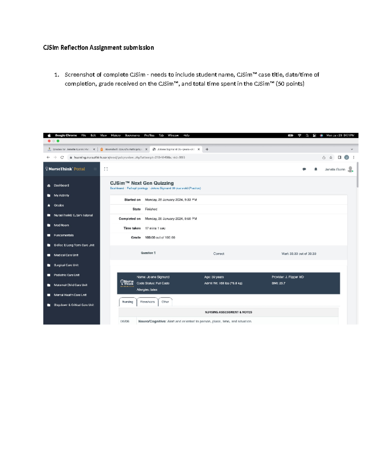 CJSim Reflection Assignment submission - Screenshot of complete CJSim ...