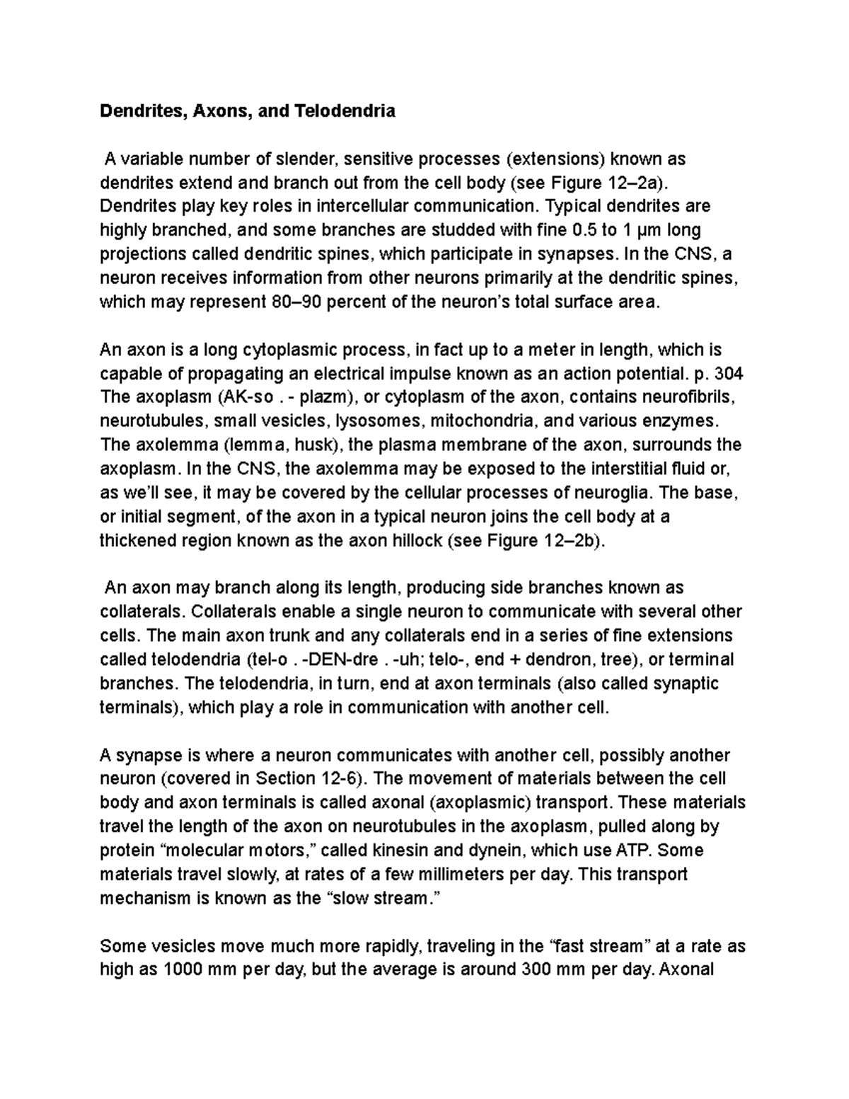 Dendrites, Axons, and Telodendria - Dendrites play key roles in ...