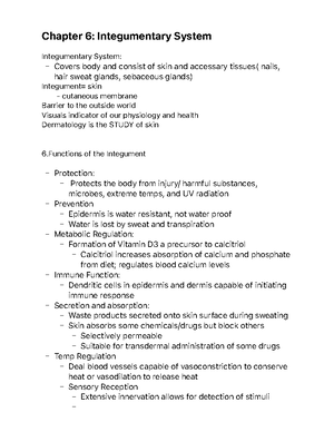 Chicken Leg Lab Dissection Lab Report - Tissue and Membranes Lab ...